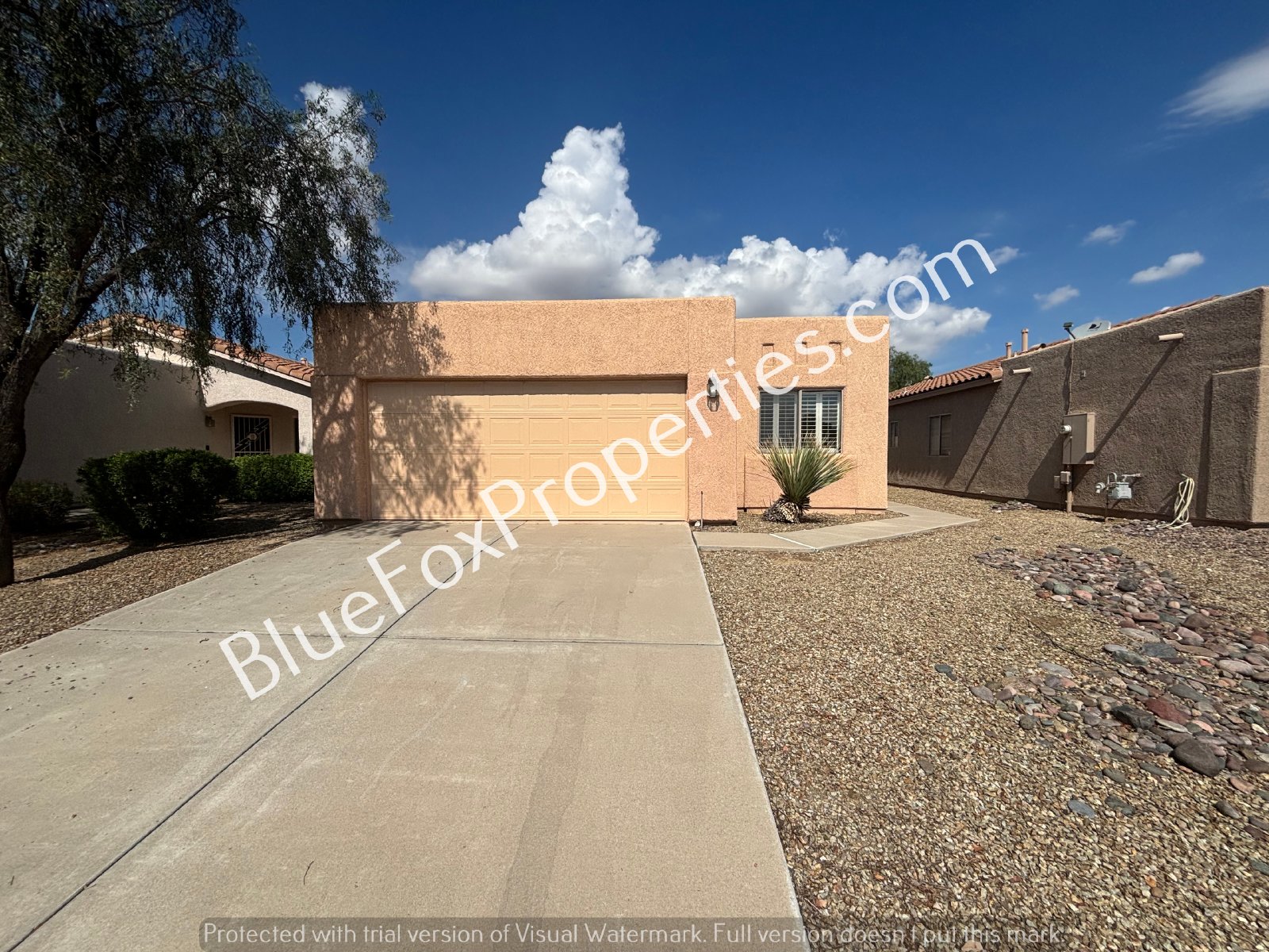5389 N Willow Thicket Way Tucson, AZ 85704 | Blue Fox Properties